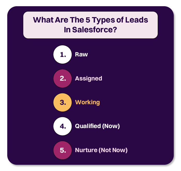 5 Proven Salesforce Lead Conversion Best Practices